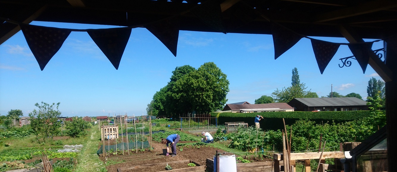 How Are You South Cambs? | Cottenham Community Allotment