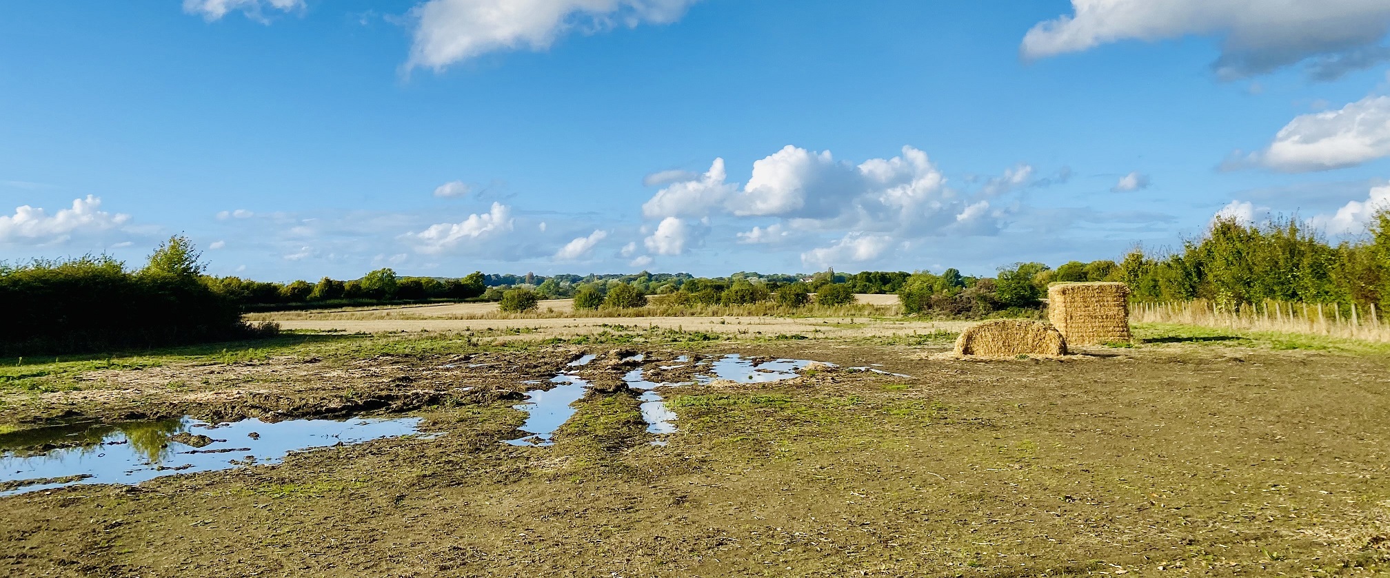 How Are You South Cambs? | Coton Countryside Reserve - Cambridge Past ...